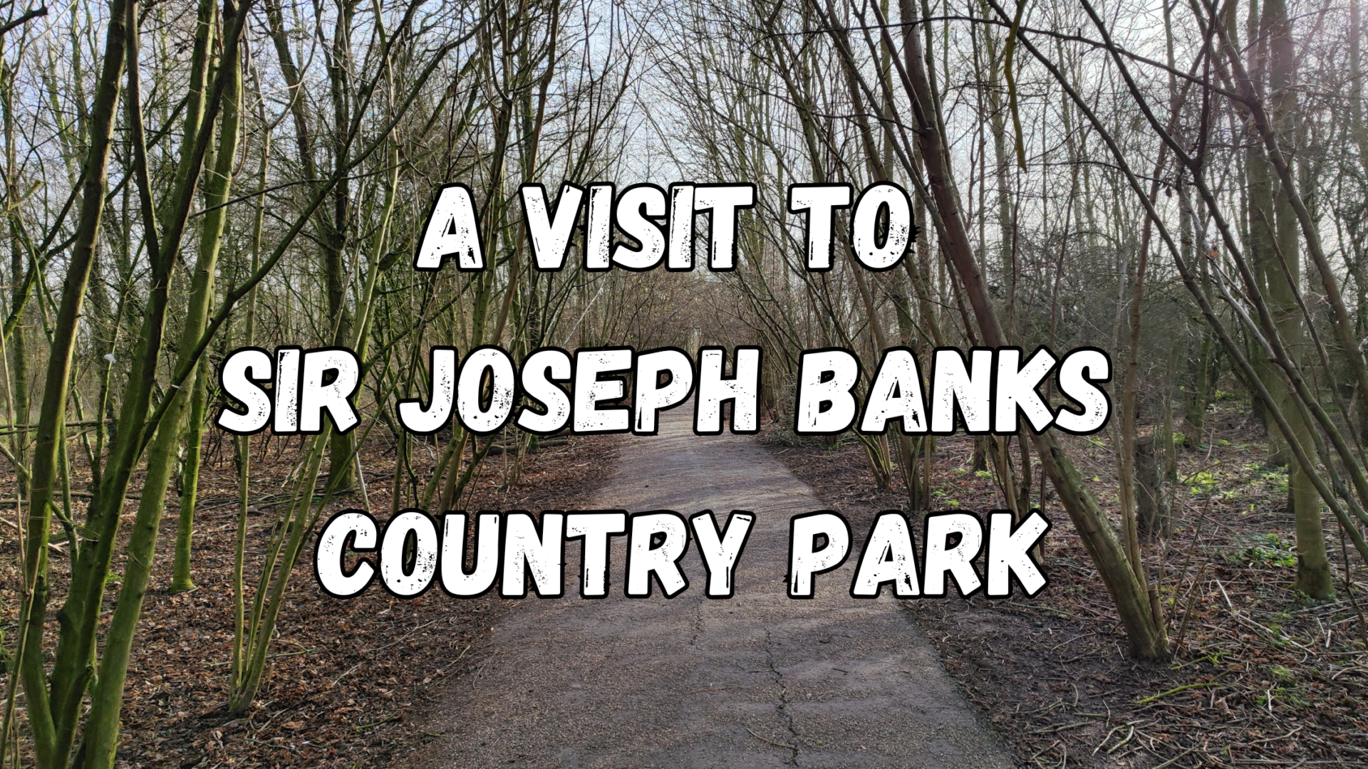 A visit to Sir Joseph Banks Country Park - The Life Quadriplegic